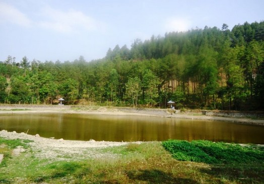 Tempat wisata di Pemalang Bernuansa Alam dan bikin Memukau